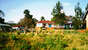 Siha Intership Program