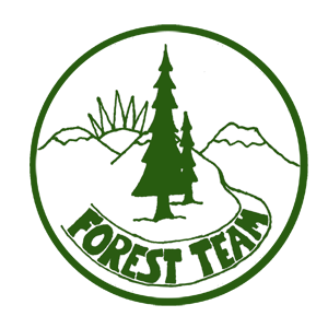 Forest Team Homepage