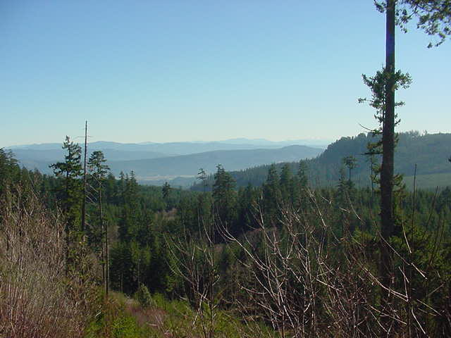 About the SLP Mohawk Watershed Enhancement Project